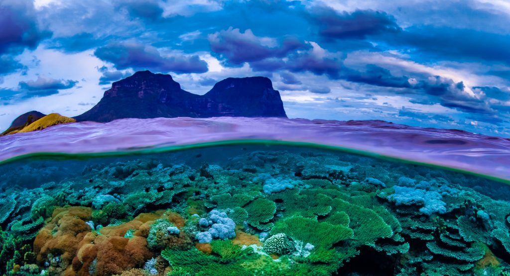 Lord Howe Island and COVID-19 | Reef N Beyond Eco Tours