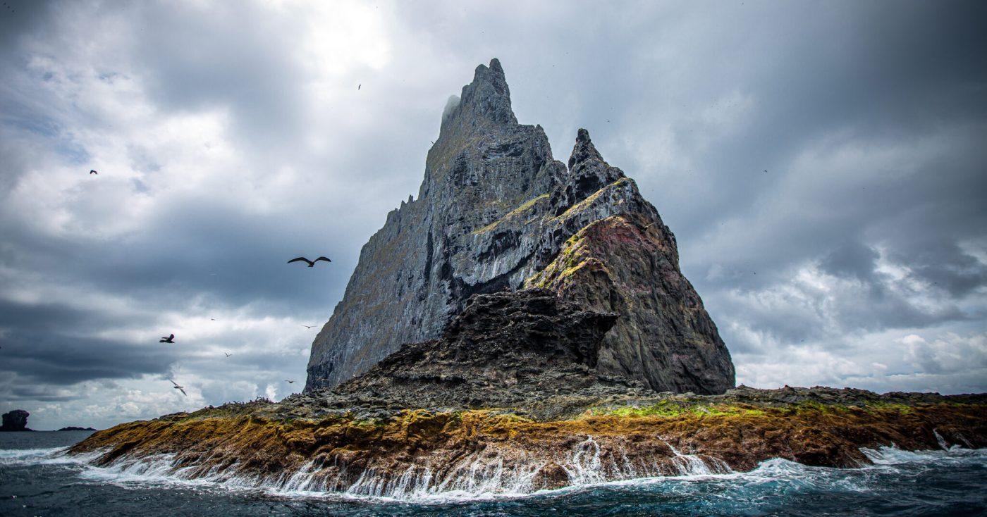 Ball's Pyramid / Lord Howe Island | Reef N Beyond Eco Tours